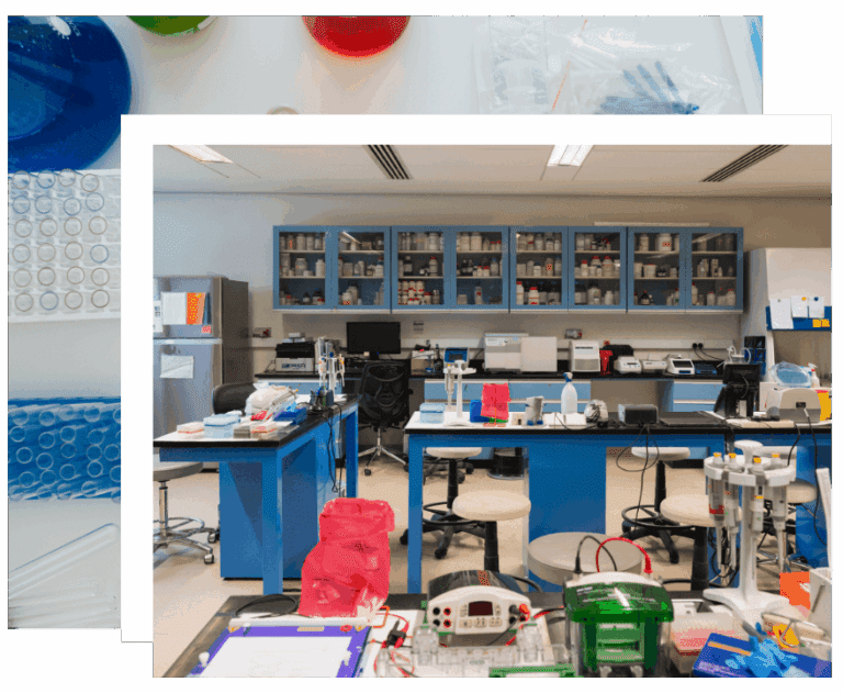 Laboratory Waste Disposal UK | Collect and Recycle