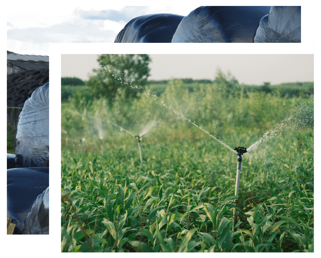 Agricultural Waste Disposal Service | Collect and Recycle